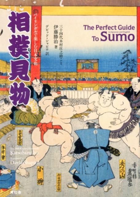 The Perfect Guide to SUMO